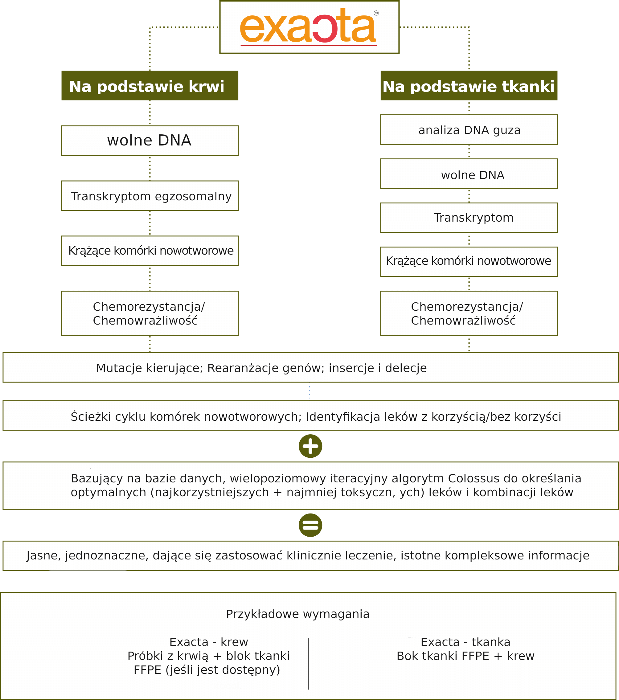 EXACTA profilowanie nowotworu
